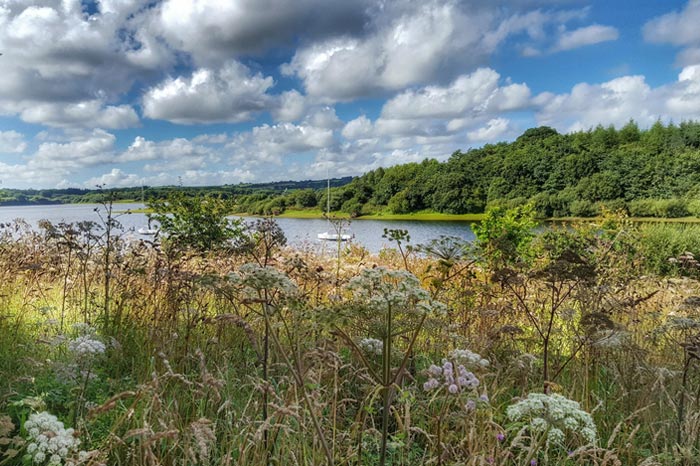 nature-roadford-lake-devon-days-out_700_466 – Okehampton Community and ...